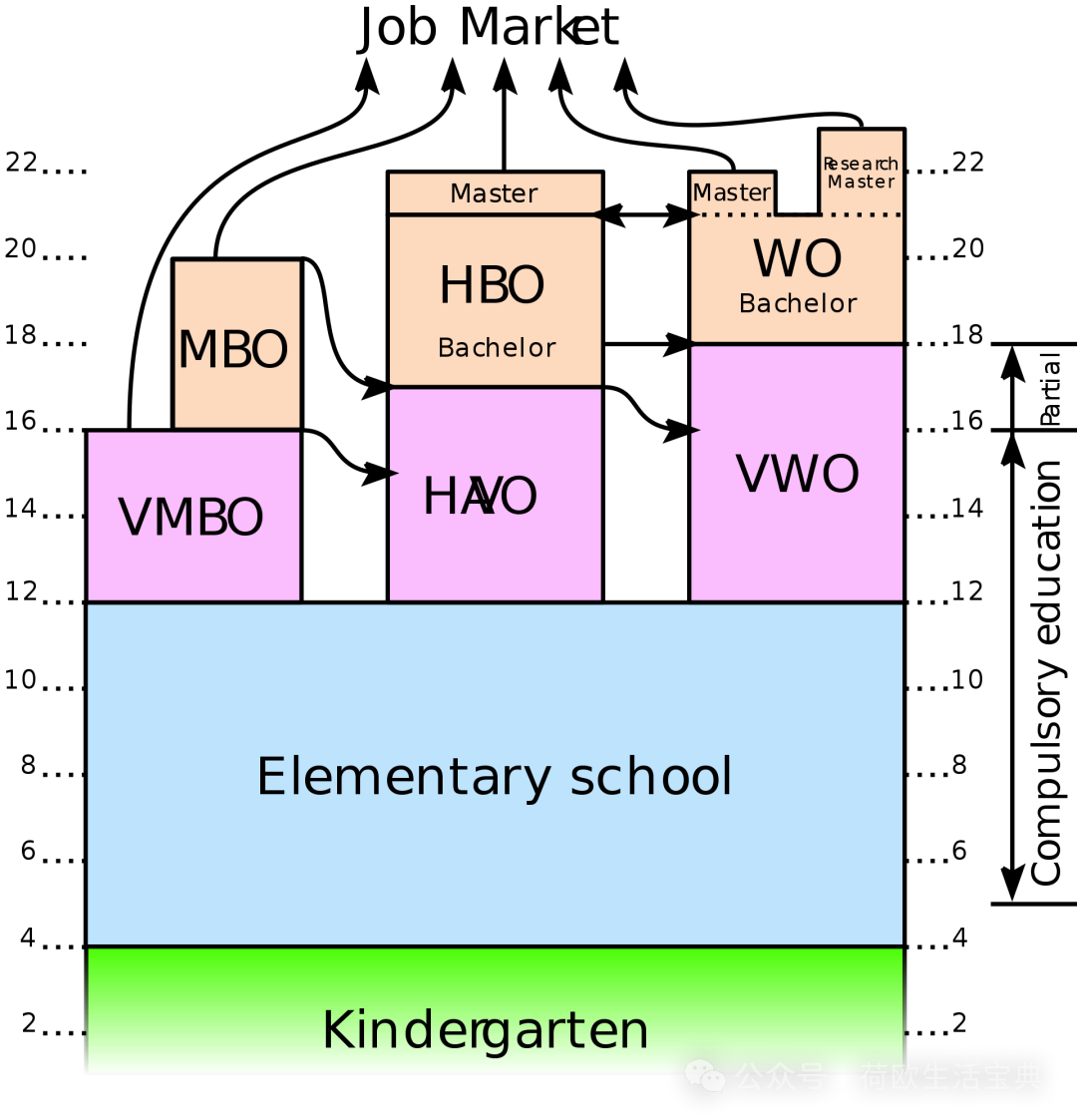 荷兰职业教育-MBO概览 - 知乎