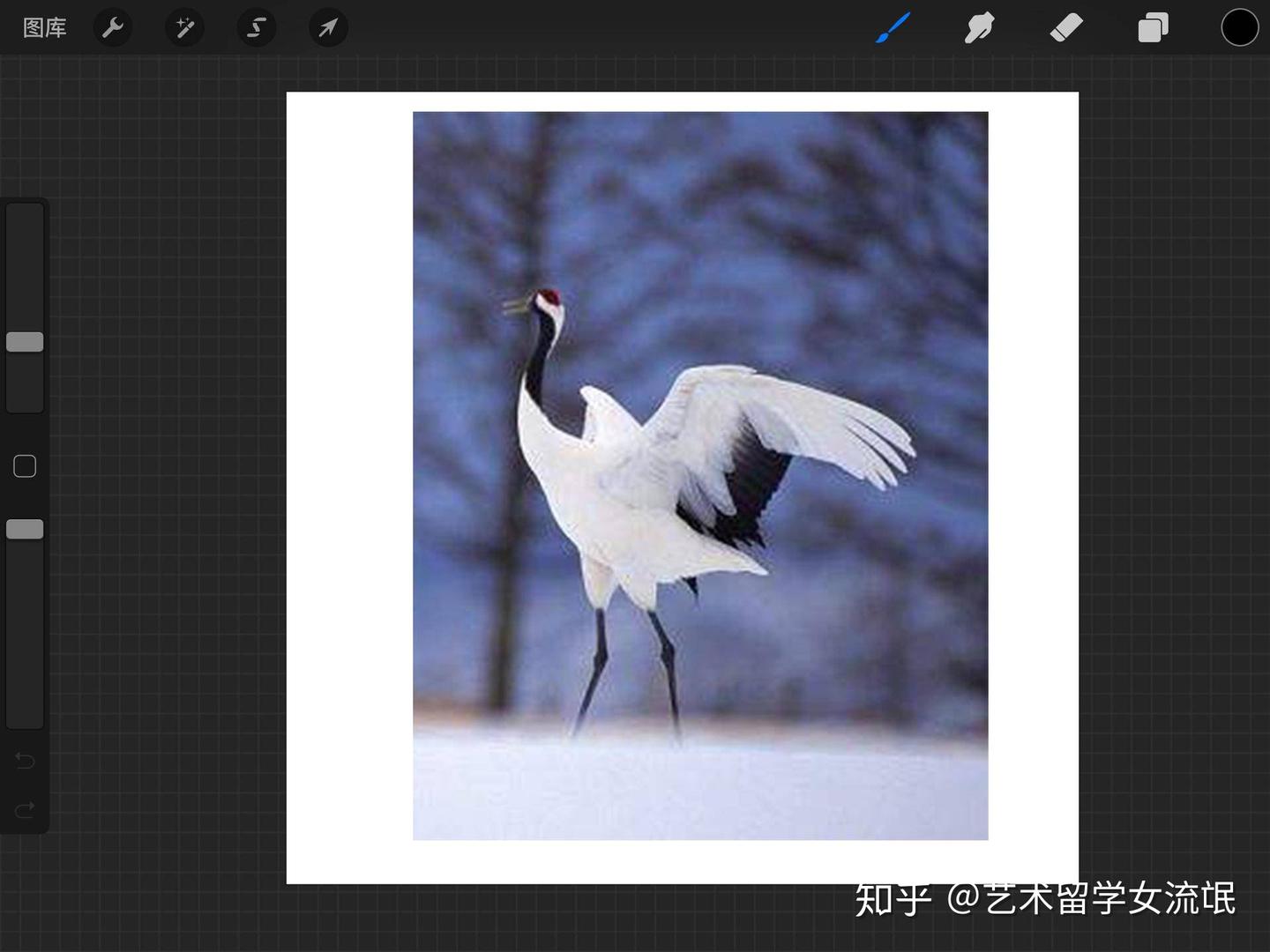 怎么用iPad画出水墨画的感觉？ - 知乎