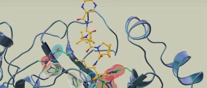 多尺度生成扩散模型预测蛋白-配体复合物结构的动态骨架 - 知乎