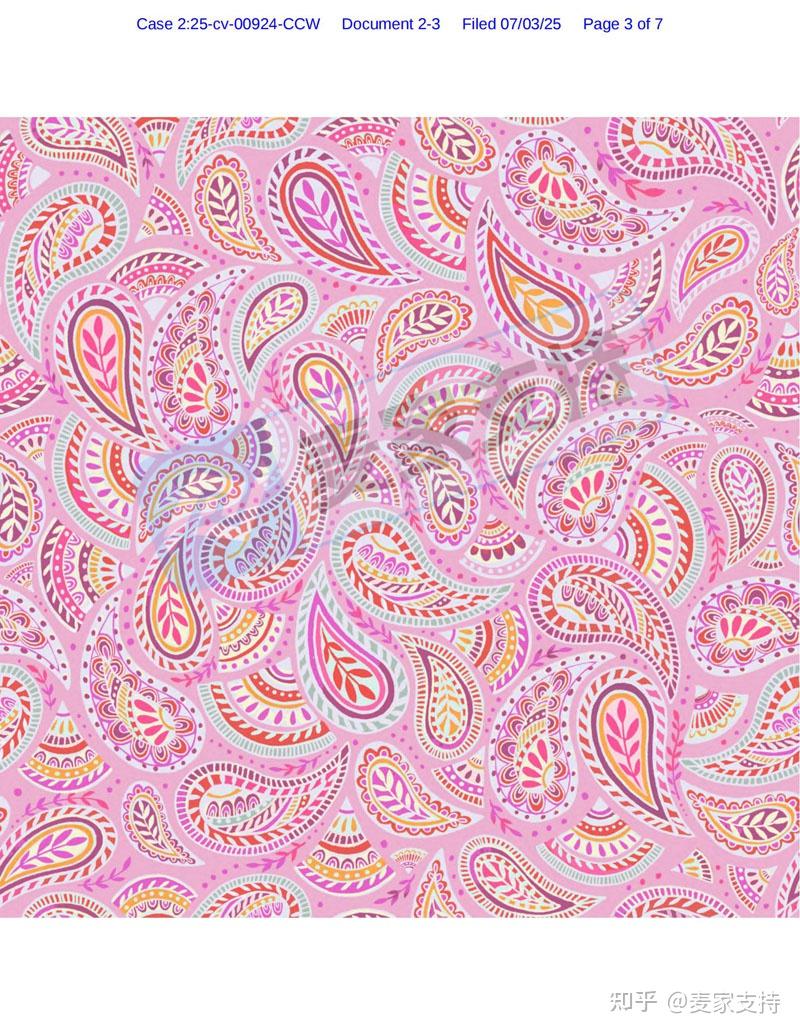 25-cv-00924，Janet Broxon插画版权跨境维权，TRO冻结88店！ - 知乎