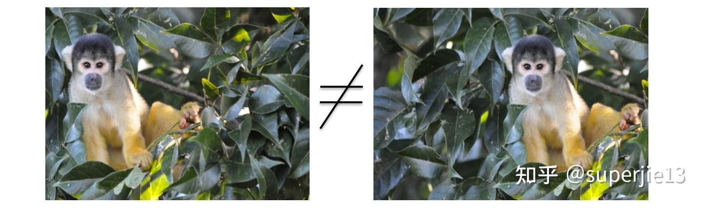 CNN中的Translation Equivariance【理解】 - 知乎