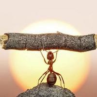 SAP MC44 MC46 MC50 - 知乎