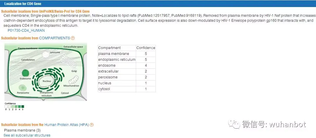 如何使用genecards进行基因和蛋白信息查询？ - 知乎