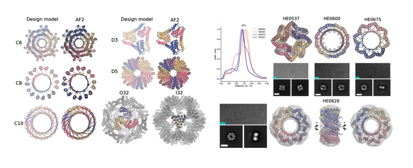 范式再颠覆 | RF Diffusion最强扩散式蛋白设计模型 - 知乎