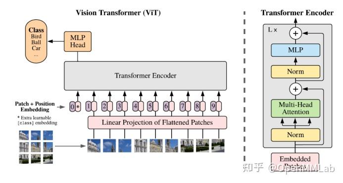 做 Transformer, OpenMMLab 了解一下？ - 知乎