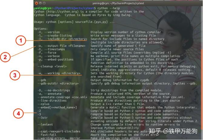 第4篇:Cython编译细节详解 - 知乎