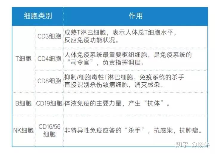 为什么说TBNK是量化评估免疫力的关键？