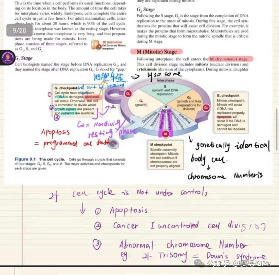 AP生物真爱粉们看过来：《APer备考宝典》解决所有生物重难点！ - 知乎