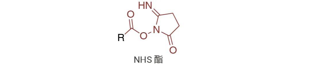 超级干货：蛋白/抗体标记 | MedChemExpress - 知乎