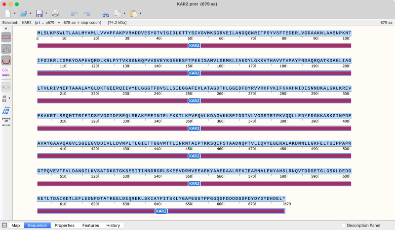 SnapGene操作指南 | 如何从DNA序列得到蛋白质序列 - 知乎