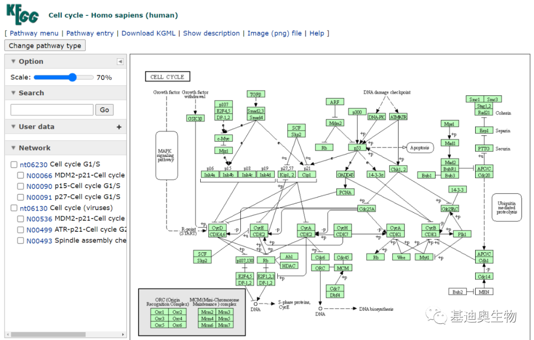 如何从KEGG数据库找到想要的通路？ - 知乎