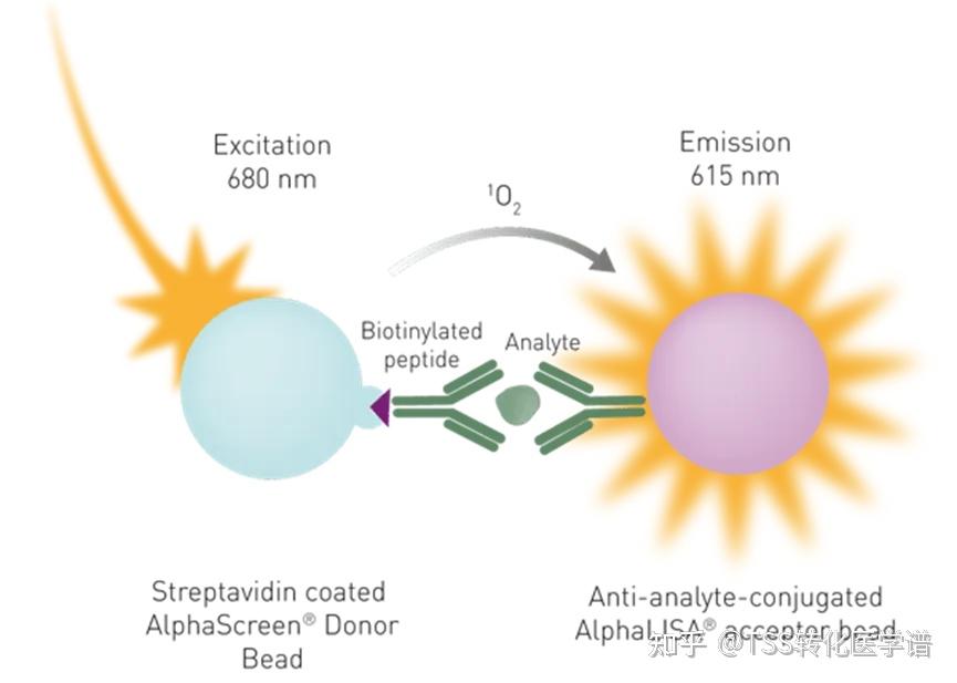 带你了解Alpha Screen技术 - 知乎