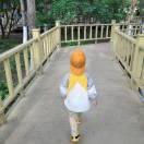 Avalonia-自学 - 控件 - 自定义Panel - 知乎