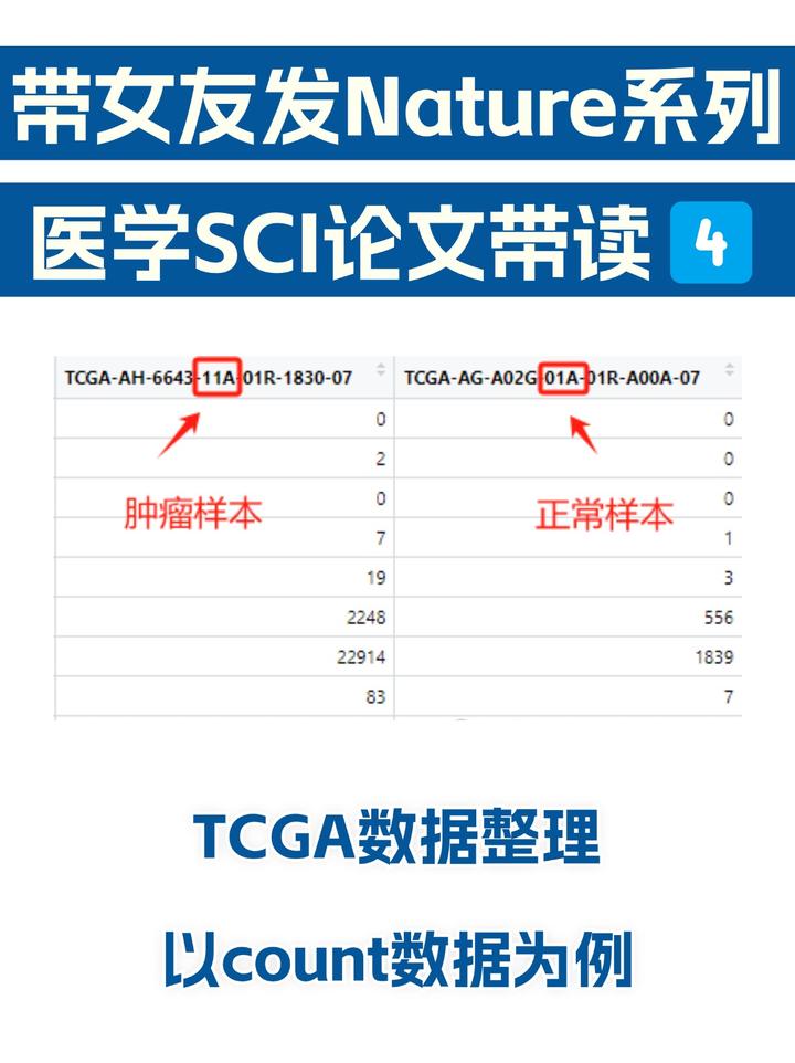 带女友发Naturel2区3.5分铁死亡直肠癌RC预后④TCGA数据清洗|医学SCI论文带读 - 知乎