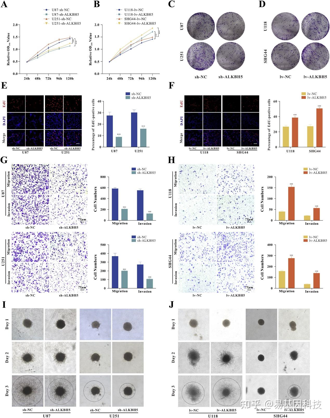 易基因：MeRIP-seq揭示ALKBH5通过m6A-YTHDC1依赖性机制影响肿瘤进展的分子通路｜Cancer Lett - 知乎
