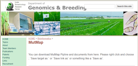 BSA分析-mutmap-学习笔记 - 知乎