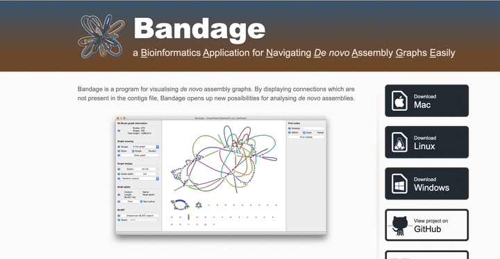生信log21|基因组成圈了吗？-拼接路径可视化软件Bandage结果详解 - 知乎