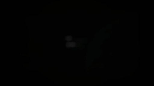 如何评价Anuttacon于北京时间3月15日凌晨发布的《WFTS》官方预告片？ - 知乎