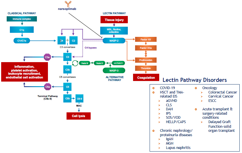 康诺亚 MASP-2 单抗获批临床了吗？ - 知乎