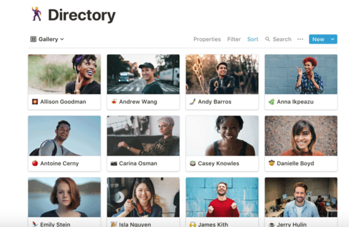 【Notion教程】Notion Gallery （画廊） - 知乎