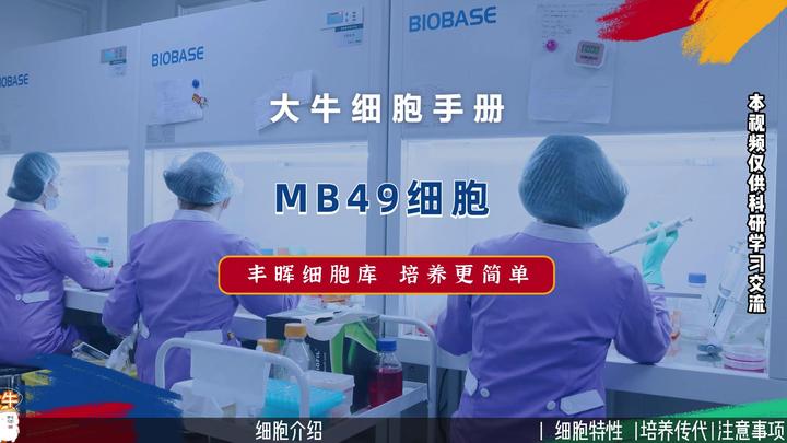 MB49细胞培养，小鼠膀胱癌细胞培养攻略 - 丰晖生物 - 知乎