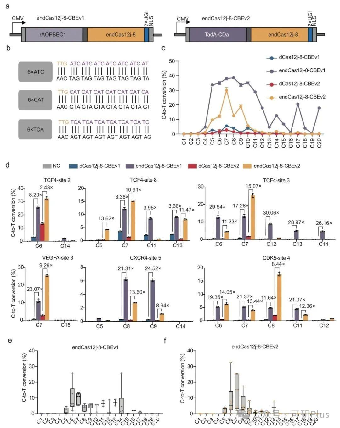 Adv Sci | 南医大张军/沈彬团队最新进展：小巧基因"剪刀"Cas12j-8编辑效率暴增55倍，多重编辑一步到位！ - 知乎