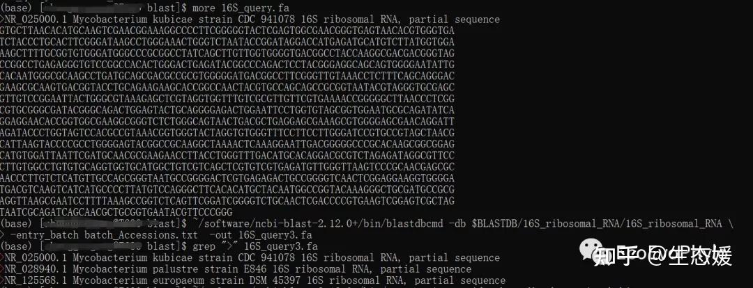 Alignment--本地blast使用详解1-数据库序列检索下载及比对 - 知乎