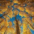 快速入门 abp vnext 1 - 知乎