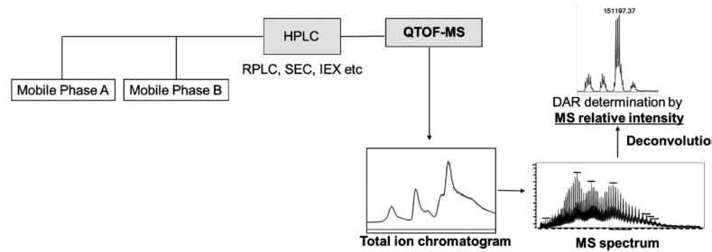 ADC药物抗体比(DAR)的表征分析方法 - 知乎