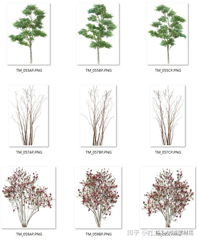 270款超棒的网红小清新手绘风and写实风立面树素材（1.2G） - 知乎