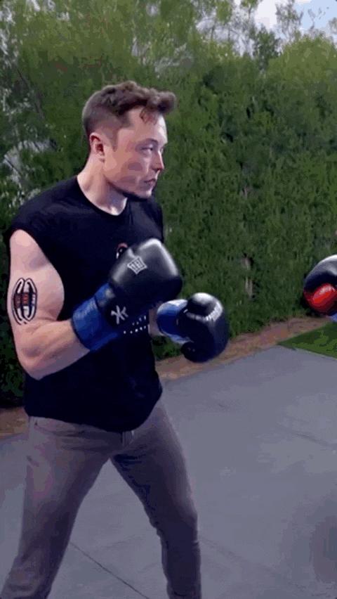 总身家3400亿美元！两大世界富豪“约架”八角笼 - 知乎