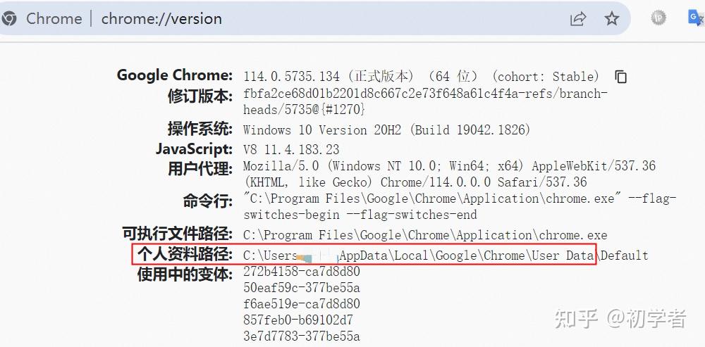 selenium调用带插件的chrome（java+python） - 知乎