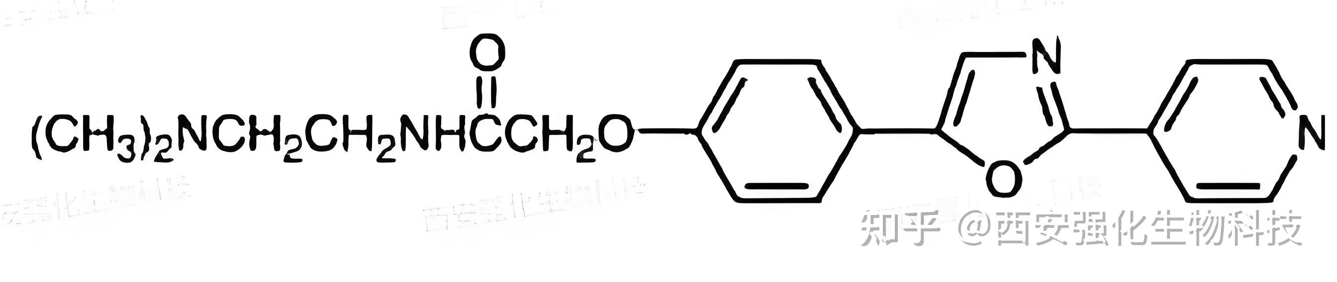 LysoSensor Yellow/Blue DND-160，用于检测活细胞中酸性细胞器的pH值 - 知乎