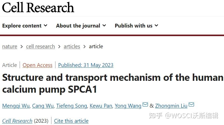 Cell Res | 南方科技大学/浙江大学揭示人源钙泵SPCA1的结构及转运机制 - 知乎