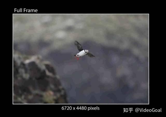 横评 | 5D3 vs. 5D4 视频能力对比 - 知乎