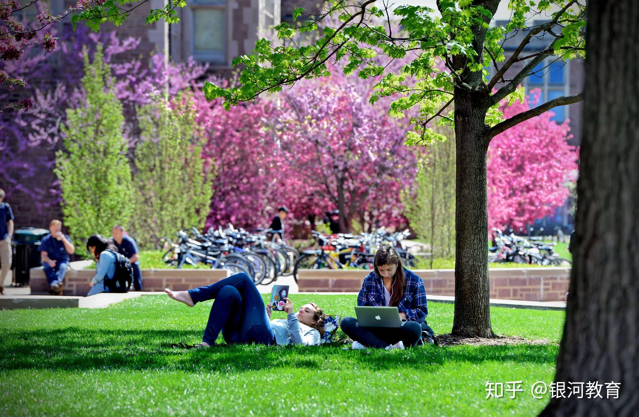 在圣路易斯华盛顿大学 (WUSTL) 就读是一种什么体验？ - 知乎