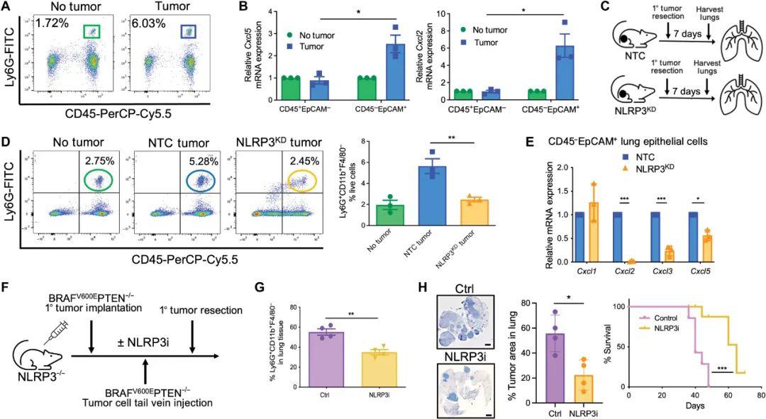 Sci Tra Med | 肝巨噬细胞清除肝炎中坏死肝细胞、减少肝纤维化 - 知乎