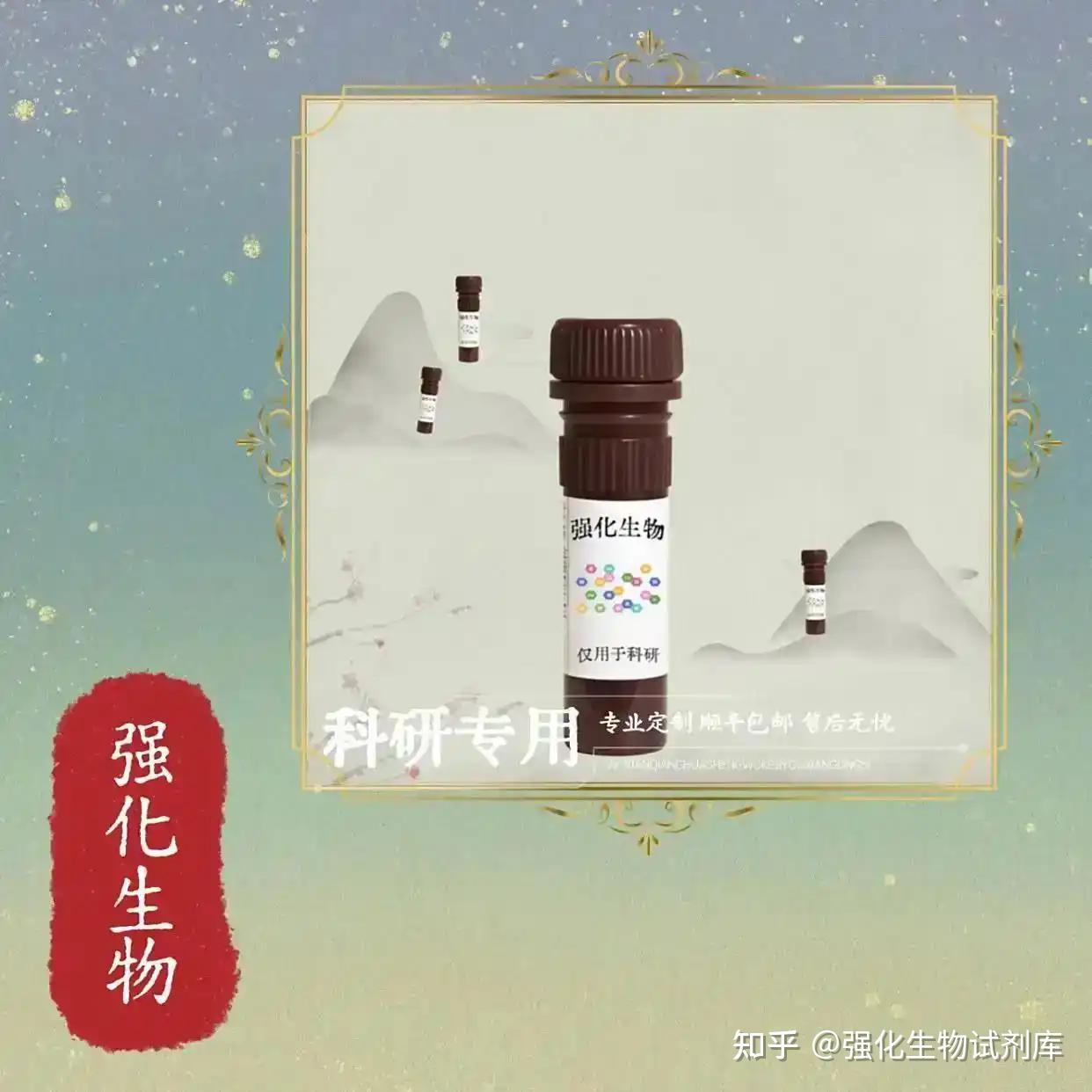 pBI221-EGFP Plant Expression Vector 植物表达载体的功能特性和常见问题 - 知乎