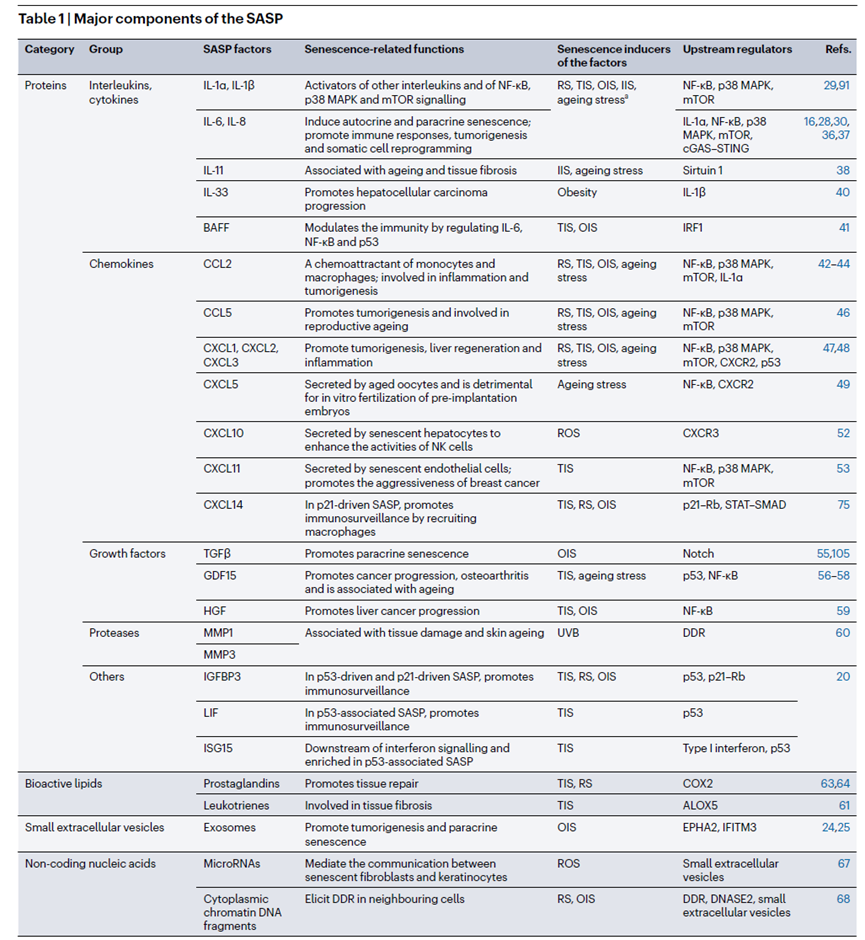 聚焦细胞老化研究，SASP因子再受关注 - 知乎