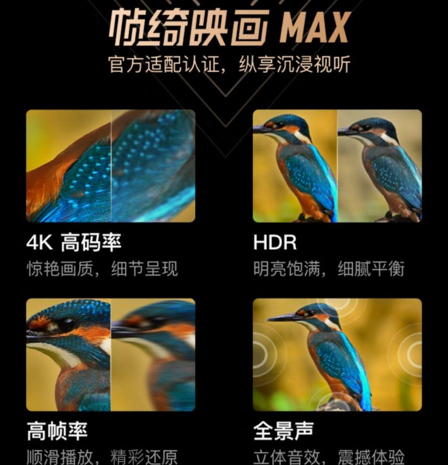 想要打造一个家庭影院，有什么好方案推荐？