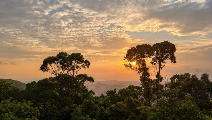 基于ASIL B功能安全的驾驶员监控系统(DMS)设计与实现 - 知乎