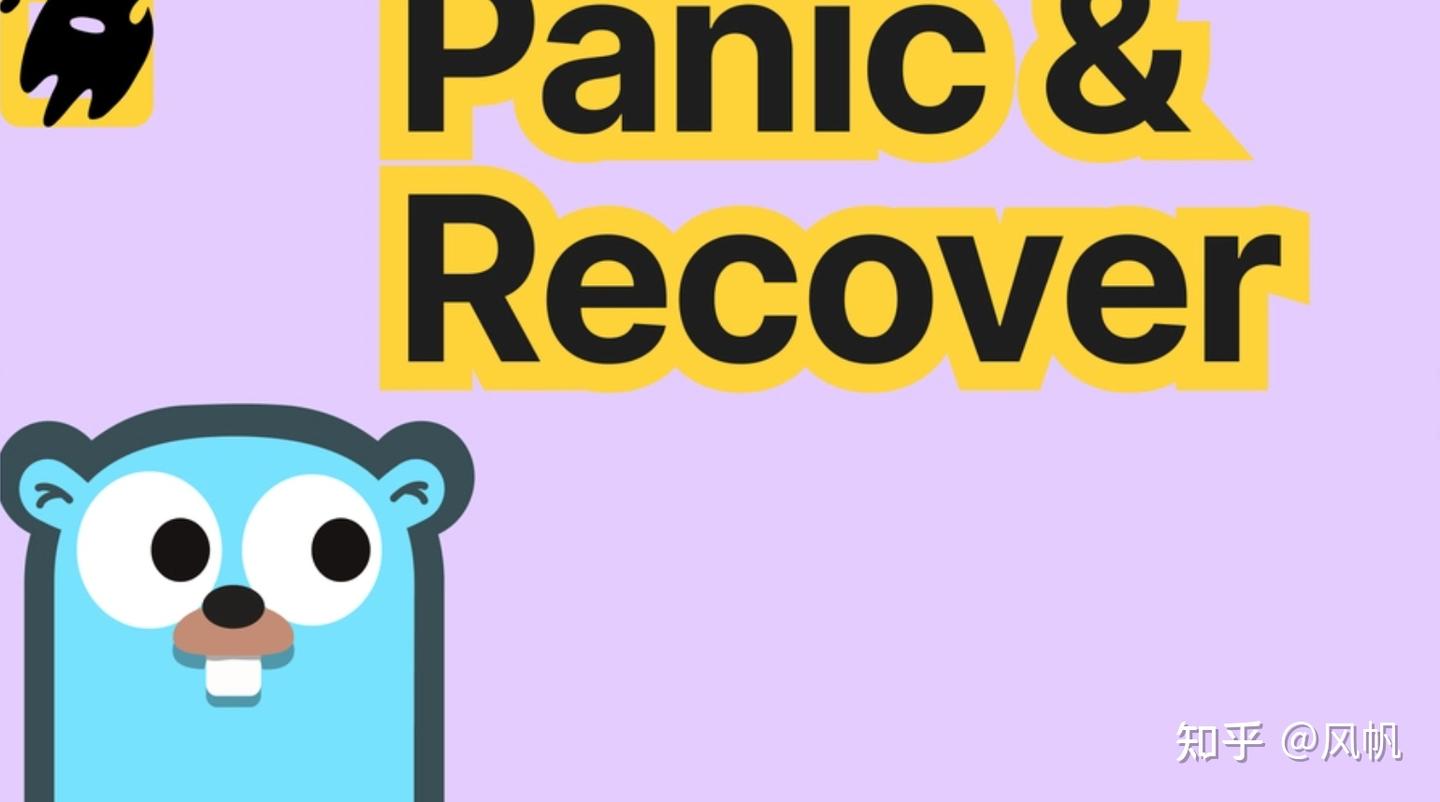 Go 错误处理：用 panic 取代 err != nil 的模式 - 知乎
