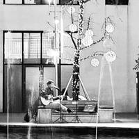 BERT 与 RoBERTa：从模型原理到训练策略优化 - 知乎