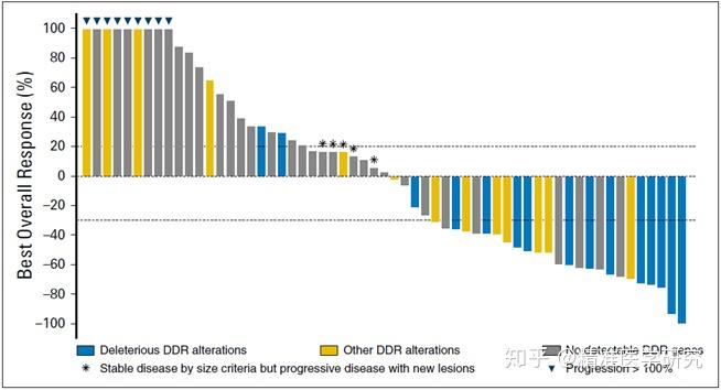 分享|DDR基因的临床用药指导意义 - 知乎