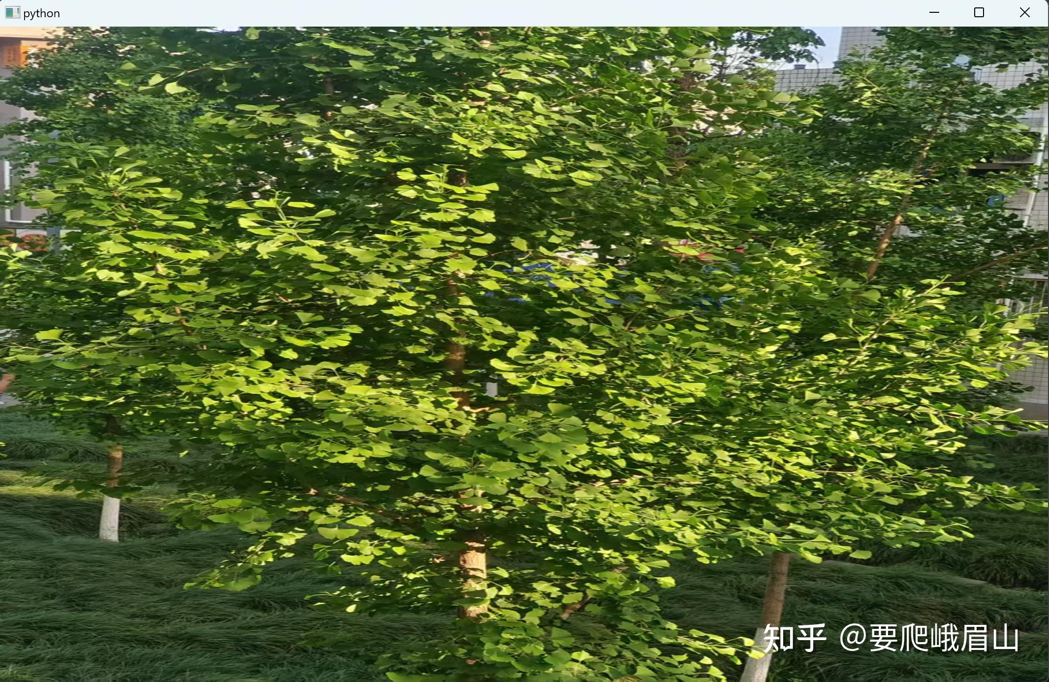 Qt（python的PySide）学习 - 知乎