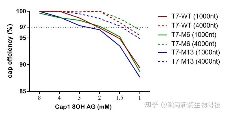 从蓝图到现实—探索mRNA的体外转录工艺 - 知乎