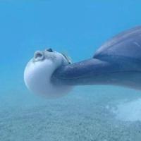 const char* 和 std::string - 知乎