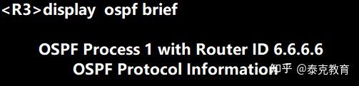 路由协议系列之一：OSPF ROUTER ID - 知乎