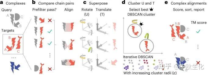 Nature Methods：蛋白质复合物研究的新利器——Foldseek-Multimer - 知乎