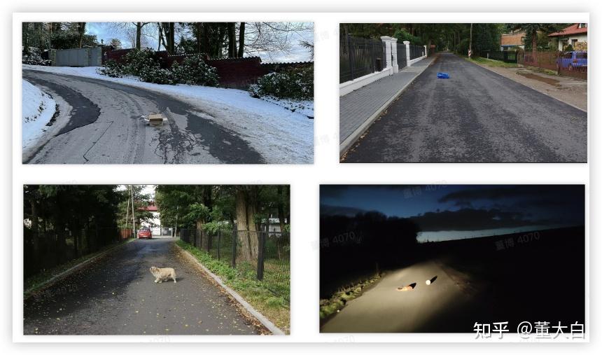 Residual Pattern Learning for Pixel-wise Out-of-Distribution Detection in Semantic Segmentation ...
